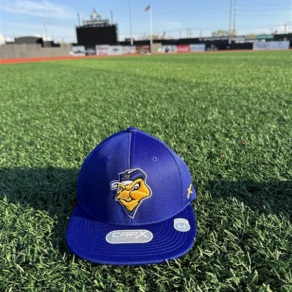 CapX On-Field Royal Blue Birdhead Hat – Canaries Baseball Pro Shop